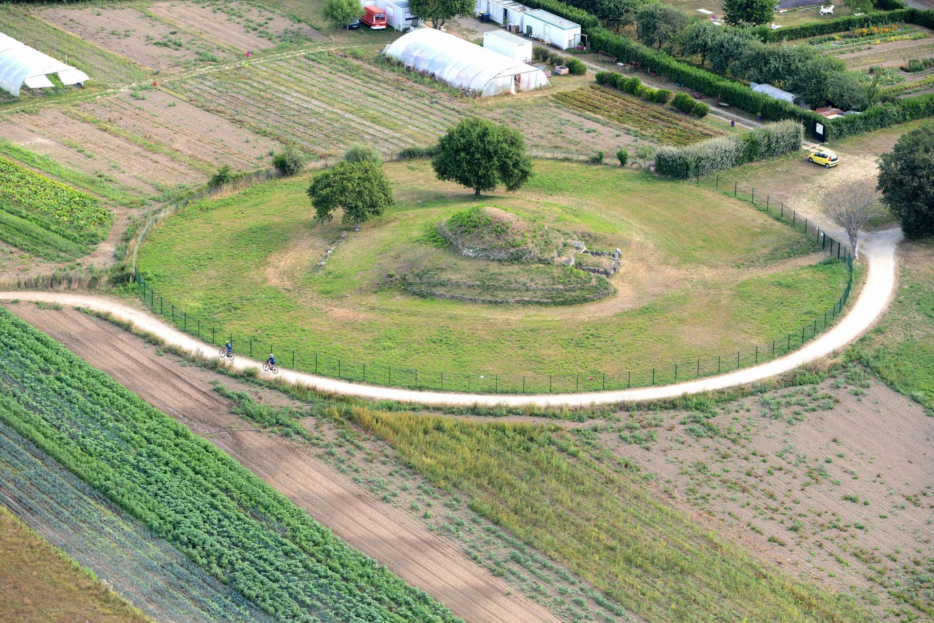 Visitez le Tumulus de Dissignac - Une visite rare hors du temps